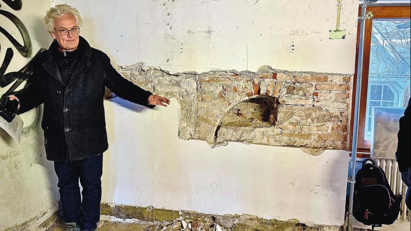 Limb Regeneration: How Animals Regrow Lost Parts 🦎 – Archyde