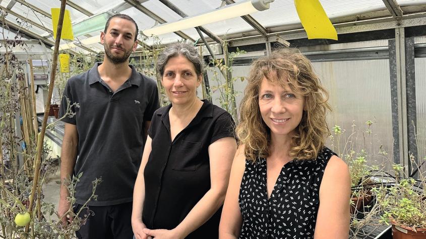 Dayanna vargas fotos dont hesitate, reach out, follow her